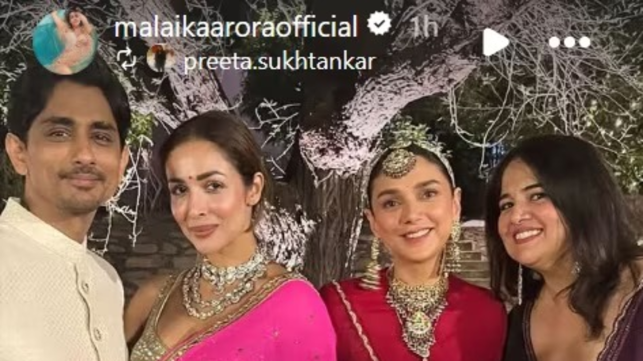 Malaika Arora Stuns in Pink Saree at Aditi Rao Hydari and Siddharth's Rajasthan Wedding - Jay-Ho!